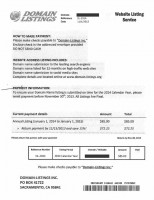 Domain Name Scams - Techeffex